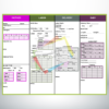 Registered Nurse Labor and Delivery Report Sheet, Nursing Report Sheet ...