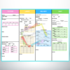Registered Nurse Labor and Delivery Report Sheet, Nursing Report Sheet ...